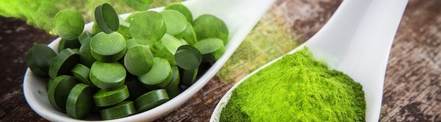 Chlorella: The Hottest Superfood