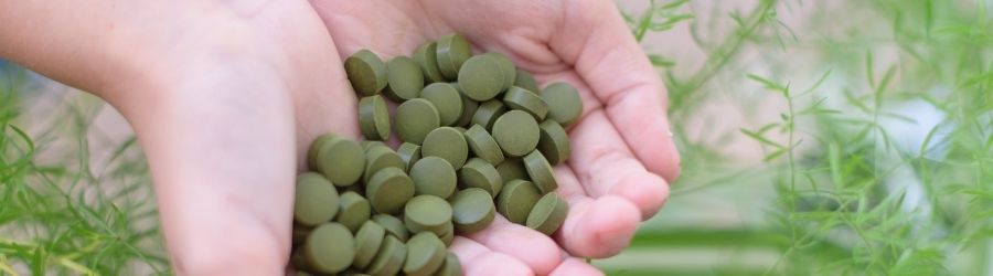 Chlorella: The Hottest Superfood