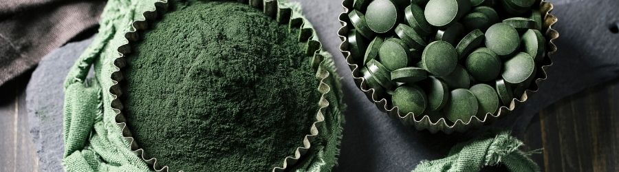 How our (Dutch) chlorella is grown