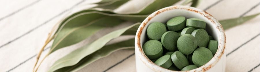 How our (Dutch) chlorella is grown