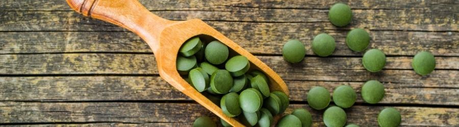 How our (Dutch) chlorella is grown